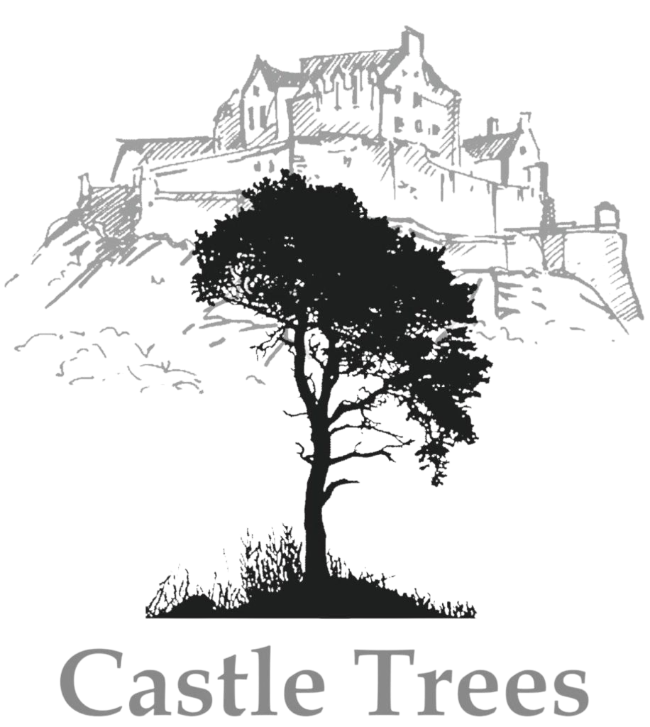 Castle Trees - Our Story - Tree Surgeons Edinburgh